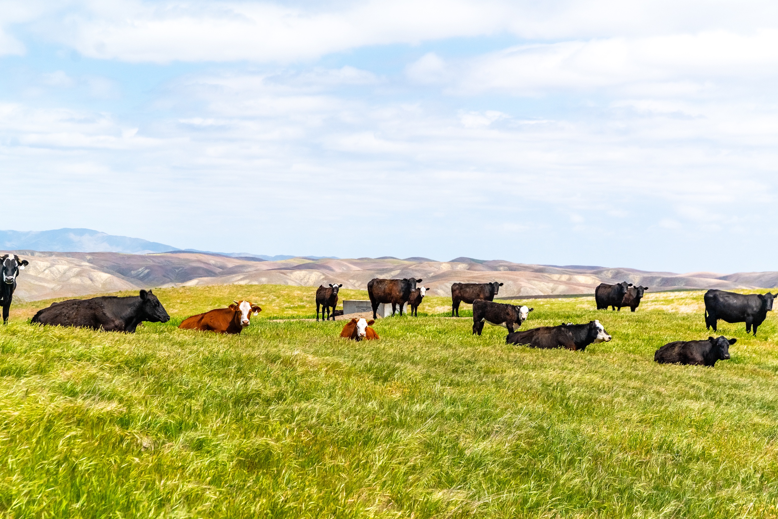 Pritchard Sumner Ranch - Land Farm and Ranches For Sale